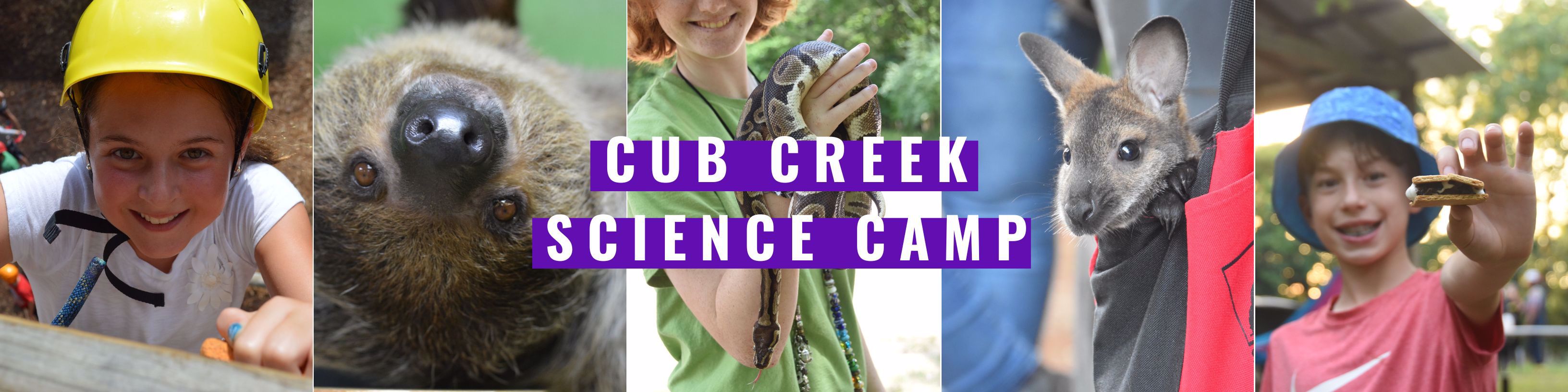 Cub Creek Science Camp Newsletter Archive - 2024 Summer Staff Training ...