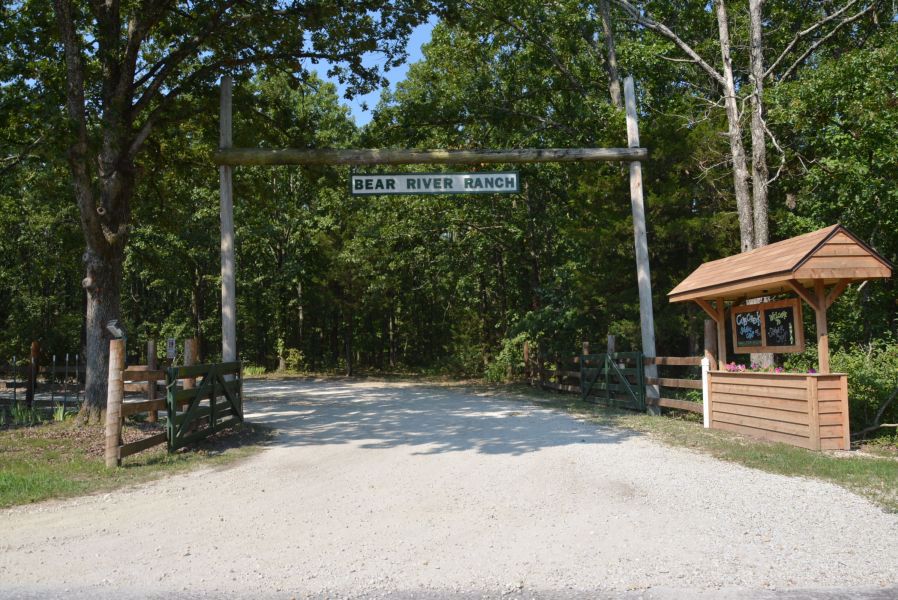 Cub Creek Science Camp Newsletter Archive - 2024 Summer Staff Training ...