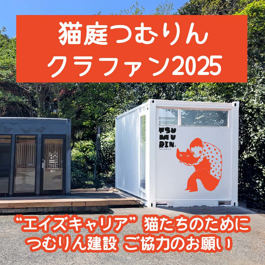 【クラウドファンディング】 エイズキャリア猫たちのために。 つむりん建設ご協力のお願い