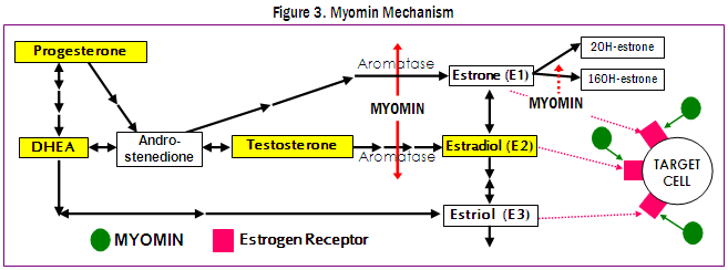 Chi's Enterprise, Inc. Newsletter Archive - All You Need to Know About ...