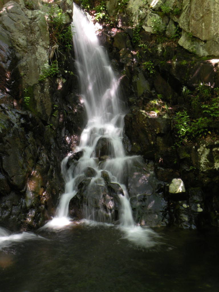 Think Spring..... in Shenandoah National Park